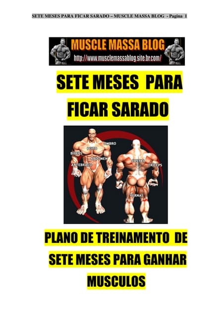 Perfect Pushup Elite Workouts | PDF | Physical Therapy | Wellness