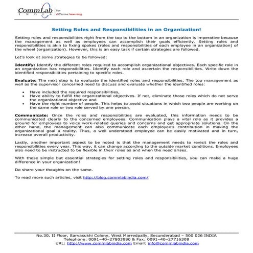 Setting roles and responsibilities in an organization! | PDF