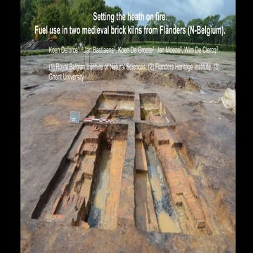 Setting the heath on fire. Fuel use in two medieval brick kilns from ...