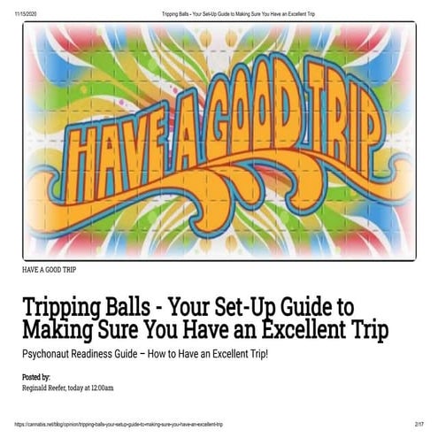 The Guide to Tripping Balls - Setting Up for a Great Experience | PDF