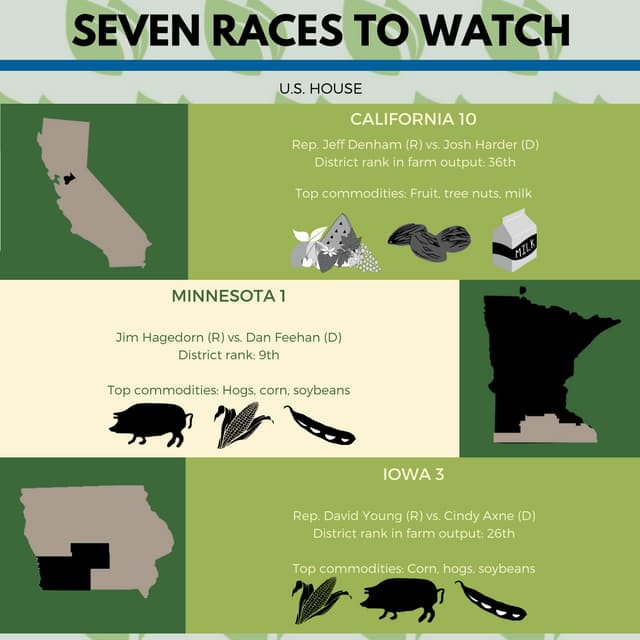 Seven races to watch | PDF