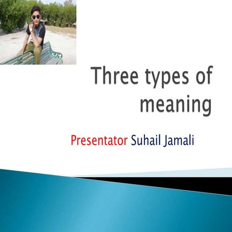 Three types of meaning | PPTX