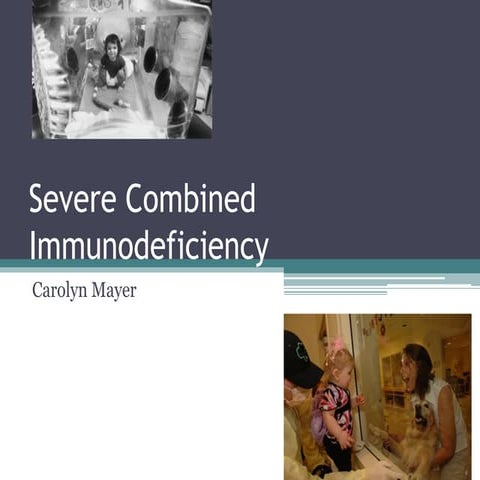 Severe Combined Immunodeficiency | PPT