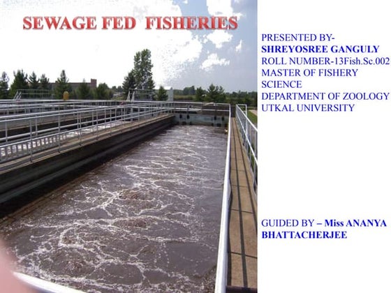 Semi intensive fish culture system | PPTX | Fish and Aquariums | Pets