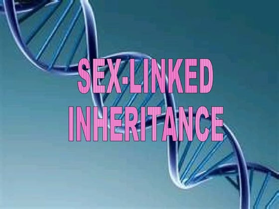 Lec12 Sex Determination Ppt 0877