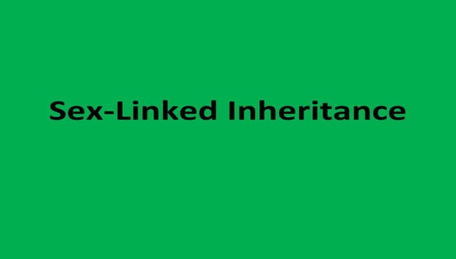 Sex Linked Inheritance Ppt