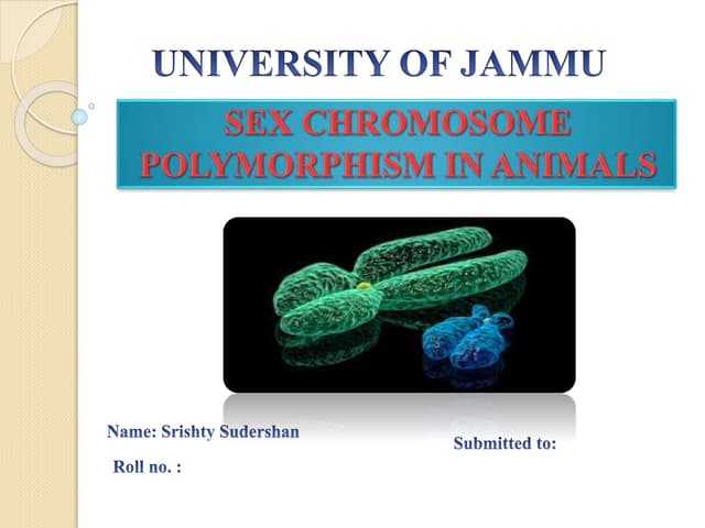 Sex Determination Chromosomal Theory Of Sex Determination Pptx