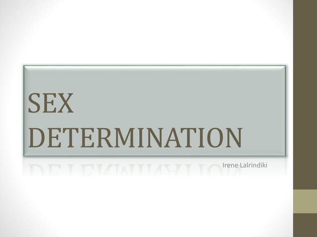 Comparative Genomic Hybridization Pptx