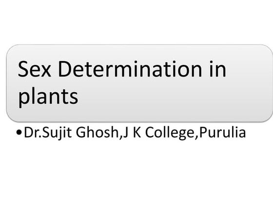 Sex Determination And Linkage Ppt