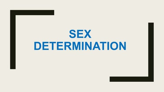 Sex Determination In Humans Ppt