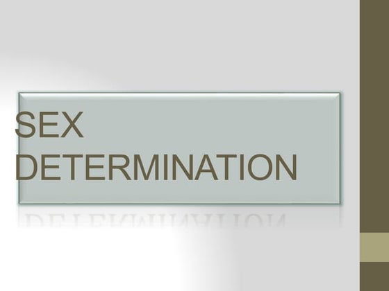 Sex Determination Chromosomal Theory Of Sex Determination Pptx