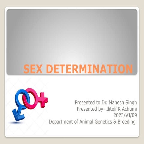Sex Determination In Honey Bees Pdf 5202