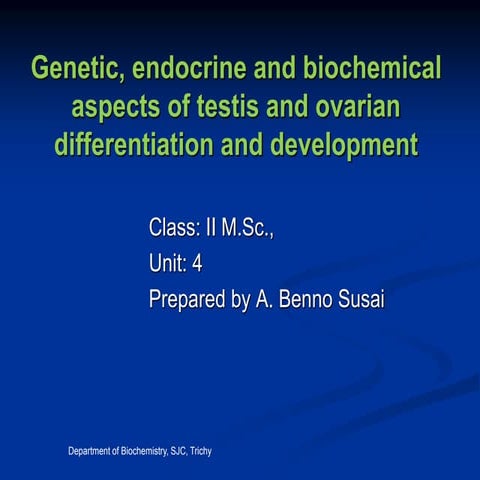 Sex Determination And Differentiation Ppt