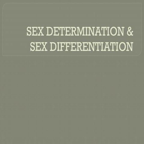 Sex Determination And Sex Differentiation Ppt