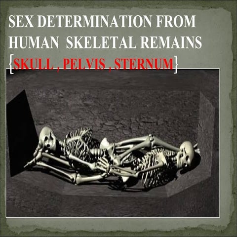 Differences in Male and Female Skeleton.pptx