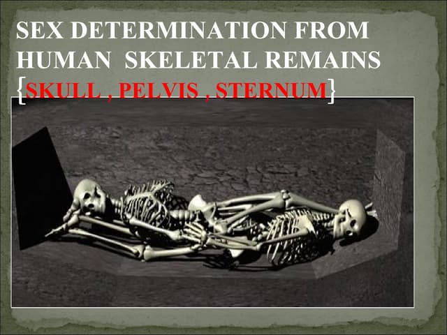 Sex Determination Using Anthropometric Methods Pptx
