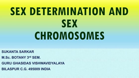 Sex determination - chromosomal theory of sex determination. | PPT