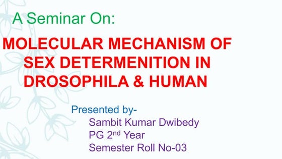 Developmental Specification And Differentiation Pdf Biological Sciences Science