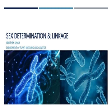 Sex Determination And Linkage Pptx