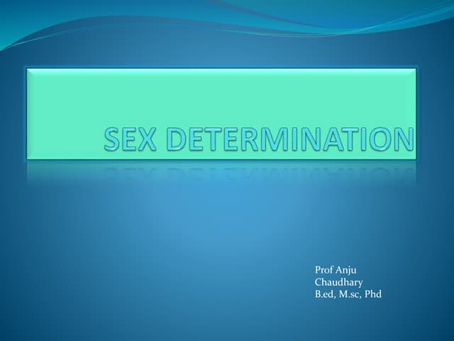 Sex Determination Chromosomal Theory Of Sex Determination Pptx
