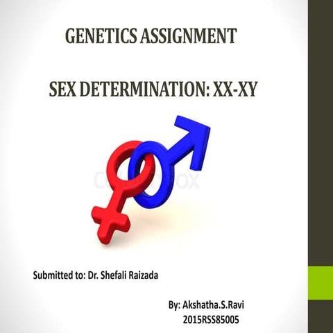 Sex Determination Xx Xy Ppt