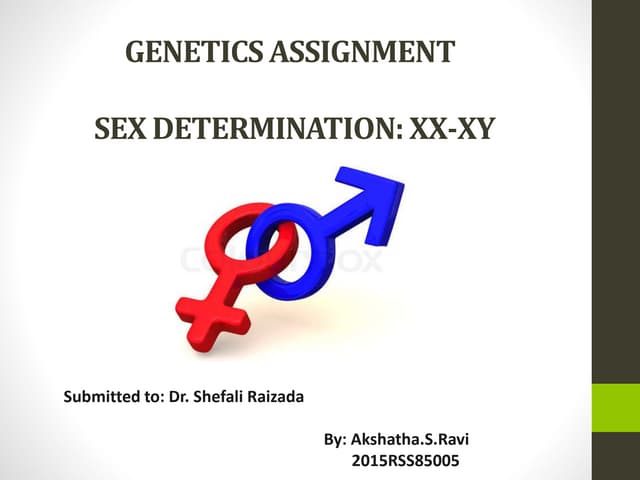 Sex Determination Xx Xy Ppt