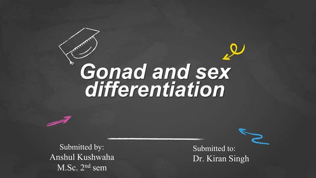 Development of gonads (Gonad differentiation)male gonad and female ...
