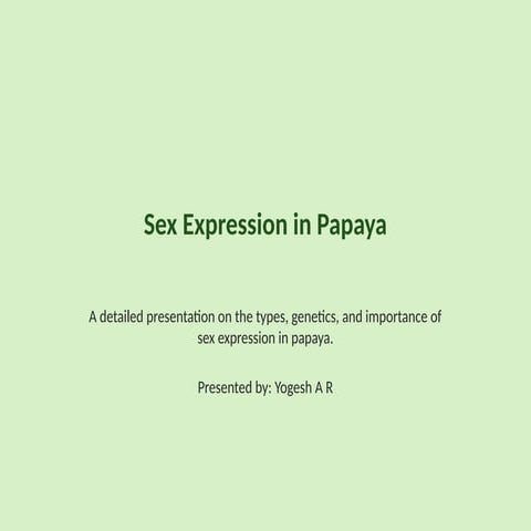 Sex Expression In Papaya Presentation Pptx