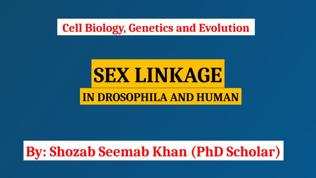 Topic Sex Linkage And Recombination Pptx Eye And Vision Conditions Diseases And Conditions