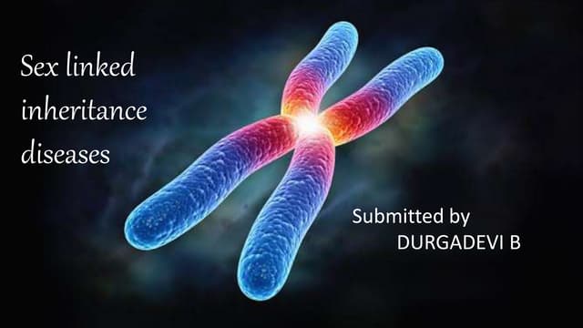 Sex linked inheritance | PDF