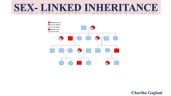 Patterns Of Inheritance Ppt 6244