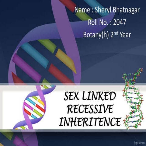 Sex Linked Recessive Inheritence Ppt