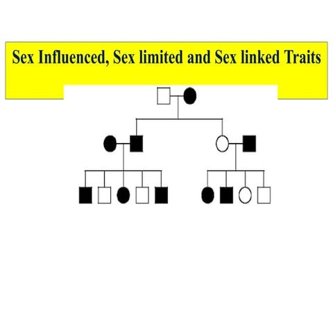 Sex linked, sex influence and sex limited traits. | PPTX