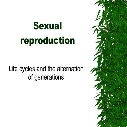 Sexual Reproduction | PPT