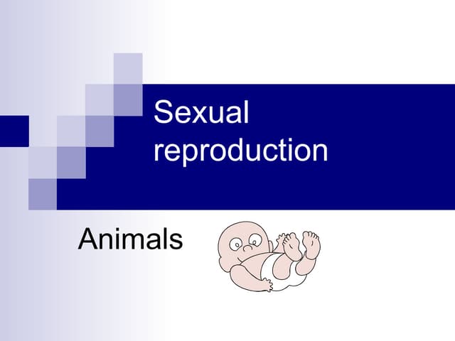 Asexual vs Sexual Reproduction | PPTX