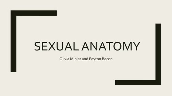 Reproductive system | PPT