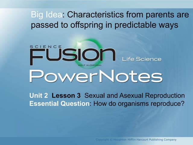 Asexual And Sexual Reproduction Powerpoint Ppt 1515