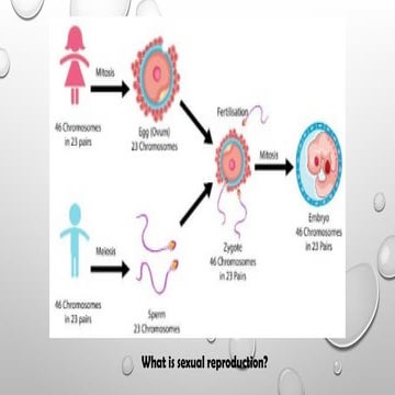 Sexual And Asexual Reproduction Science 7 Pptx