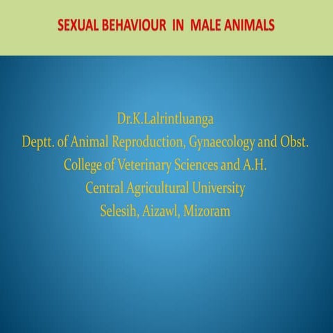 Reproductive system of a buck | DOCX
