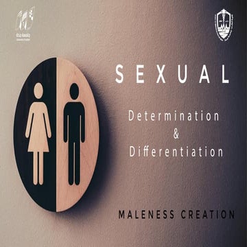 Sexual Determination And Differentiation Pdf 3989