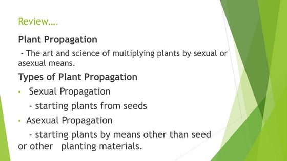 3. MARCOTTING - Copy.docx | Agriculture | Industries