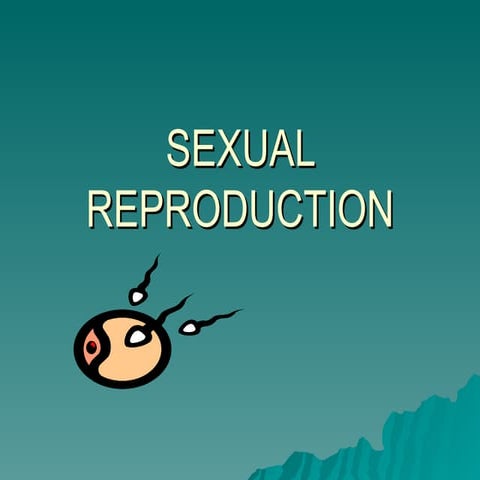 Sexual Reproduction | PPT