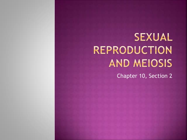 Meiosis brief overview1 (1) | PPT