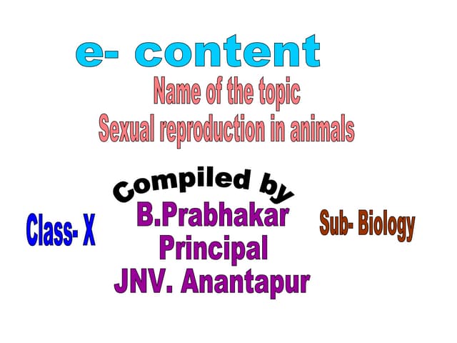Grade 10 Bio Male reproductive system | PPTX