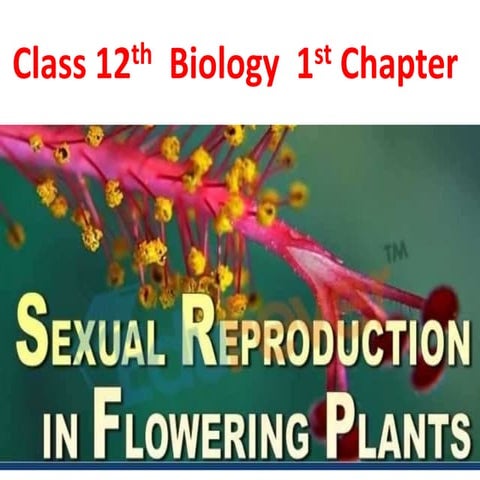 Sexual Reproduction in Flowering Class 12th Biology 1st Chapter.pptx