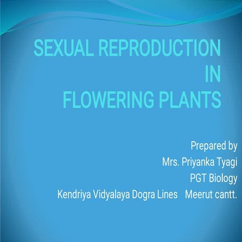 Class 12||Chapter 2|| Sexual Reproduction in flowering plants | PPTX