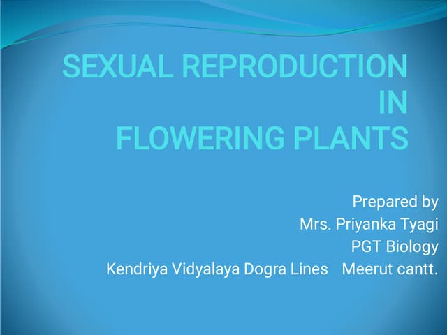 Sexual Reproduction In Flowering Plants | PPTX