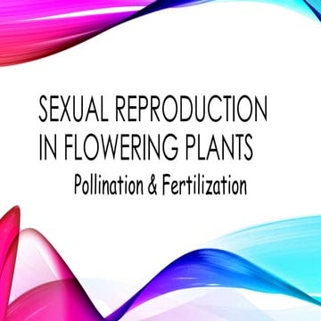 Sexual Reproduction in Flowering Plants | PPTX | Infertility ...