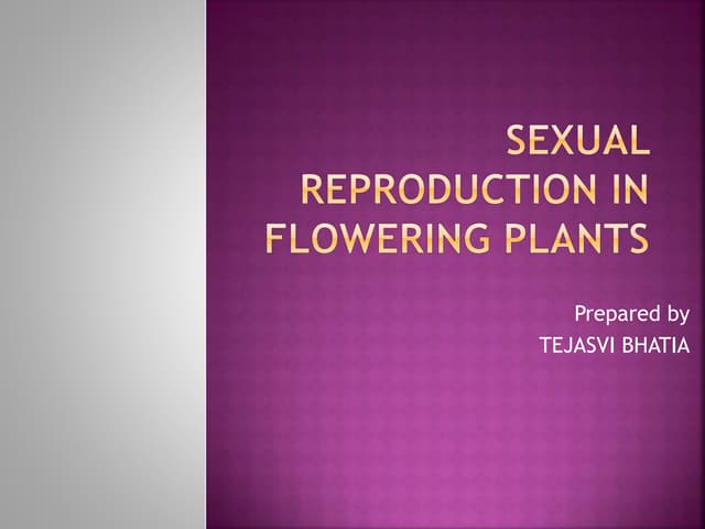 Sexual Reproduction In Flowering Plants | PPTX