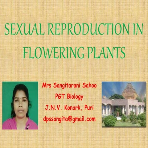 Sexual reproduction in flowering plants (Class 12) | PPTX